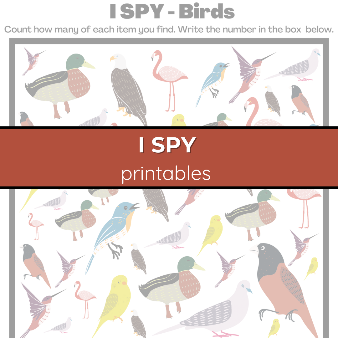 I Spy - Mess for Less Shop