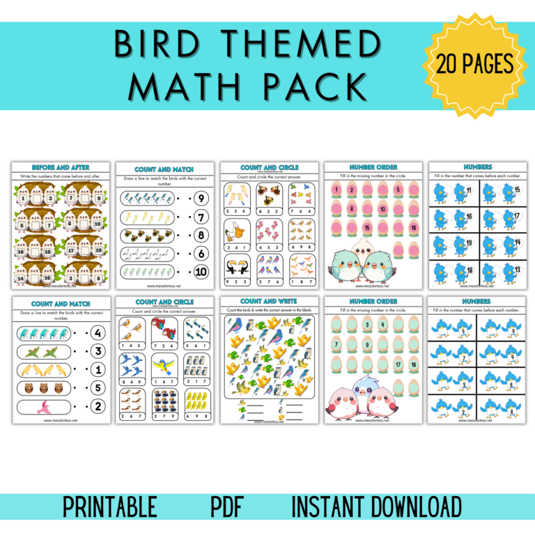 Bird Math Worksheets for Preschool & Kindergarten - Mess for Less Shop